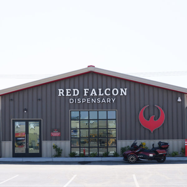 Gallery - Red Falcon