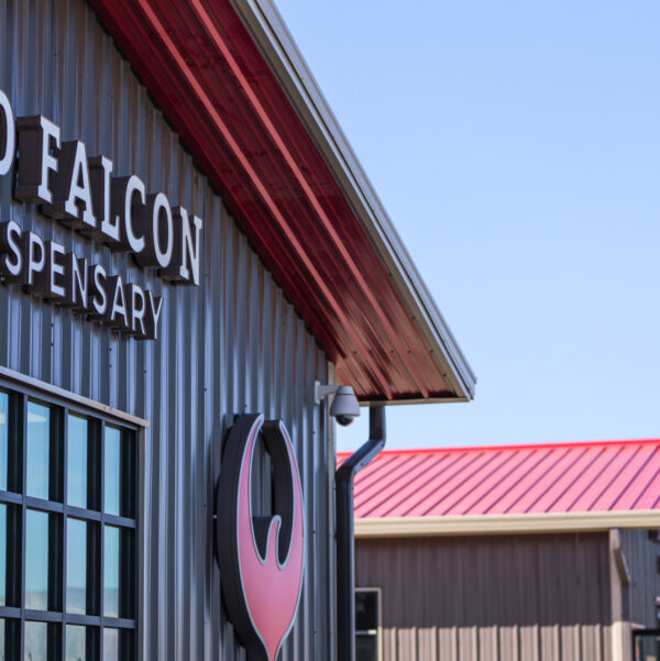 Gallery - Red Falcon