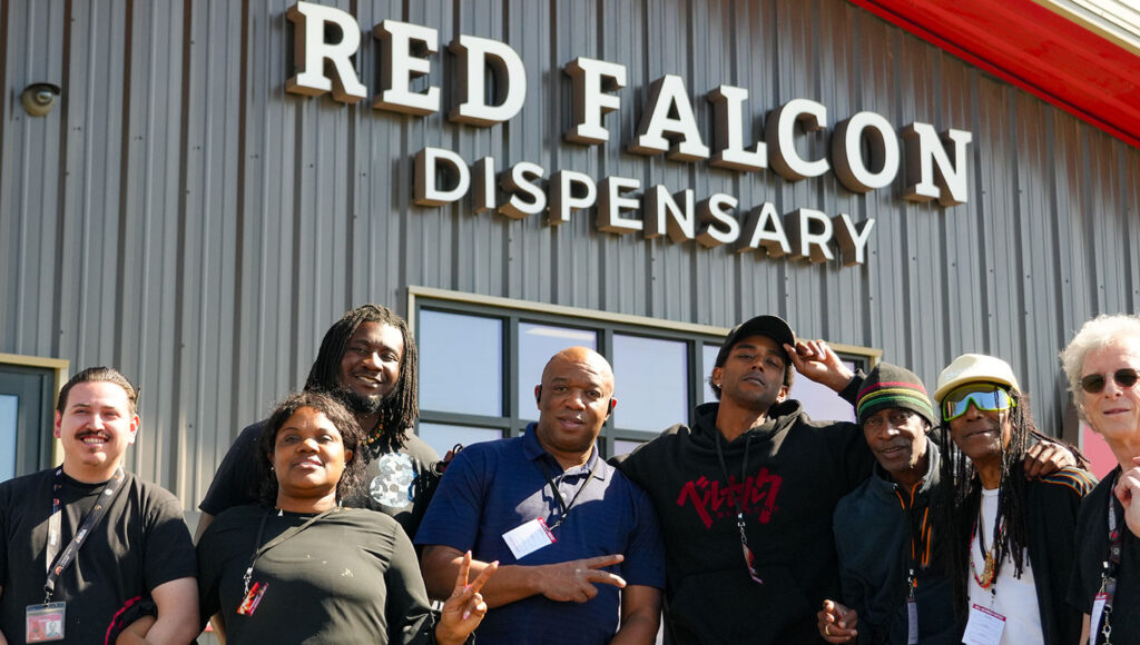 Gallery - Red Falcon