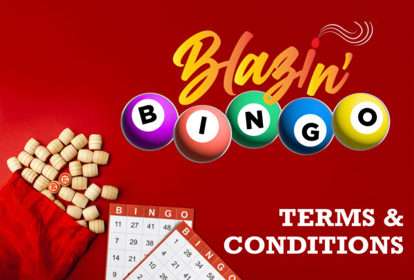 Bingo - Terms and Conditions - Red Falcon